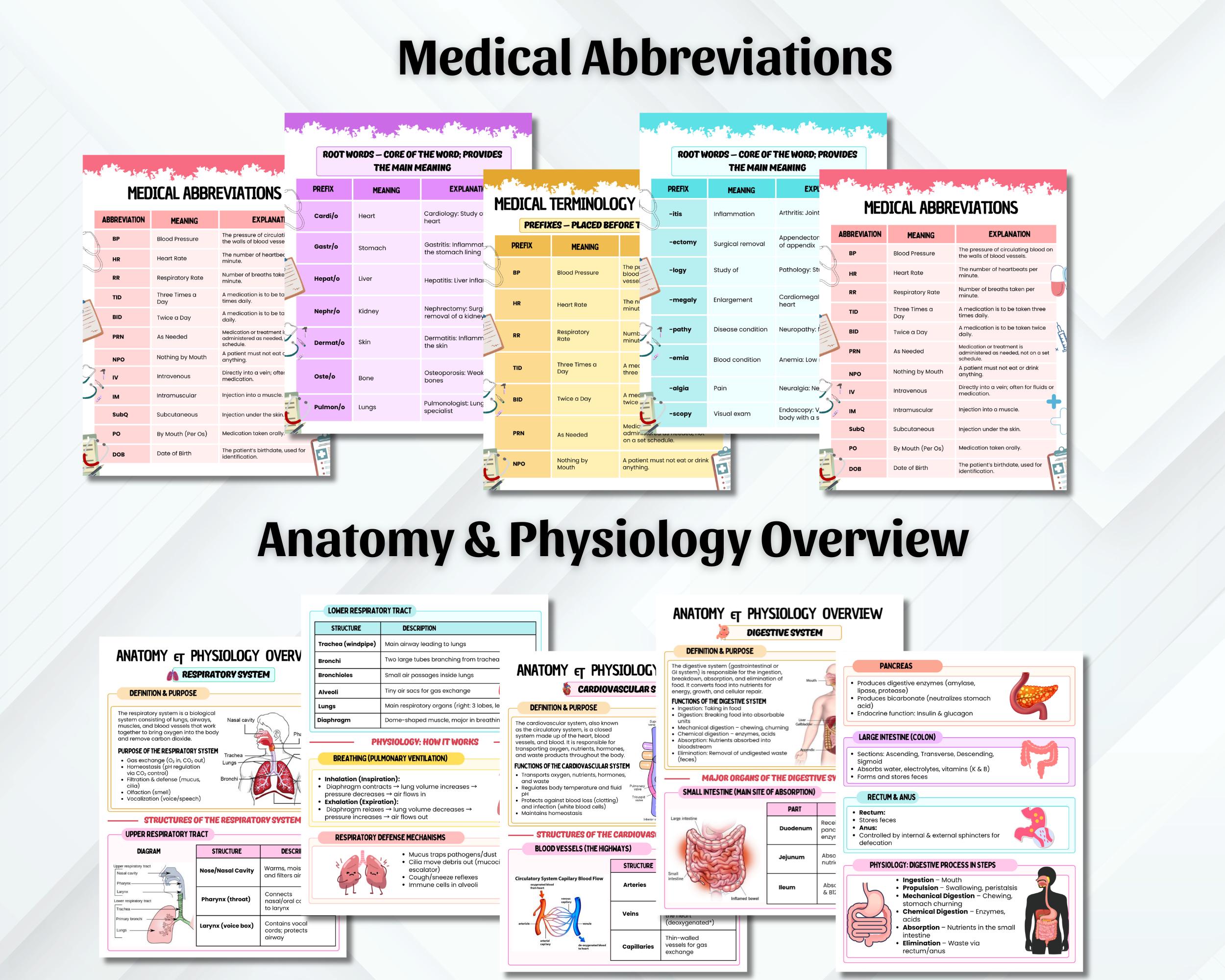 Medical Assistant Notes & Cheat Sheet Bundle | Medical Assistant Study ...