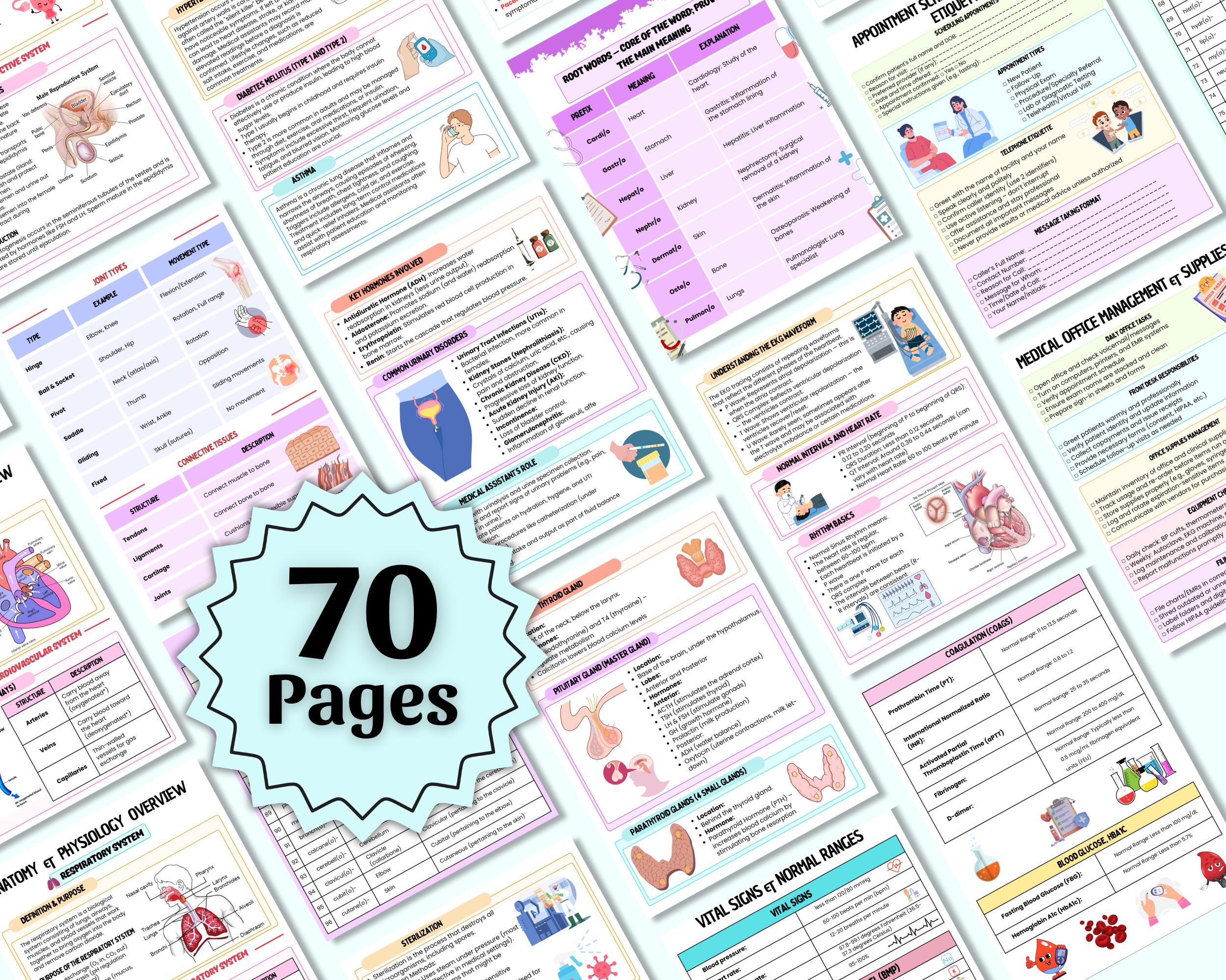 Medical Assistant Notes & Cheat Sheet Bundle | Medical Assistant Study ...