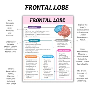 The Brain Regions Cheat Sheet | Brain Anatomy | Human Brain | Brain ...
