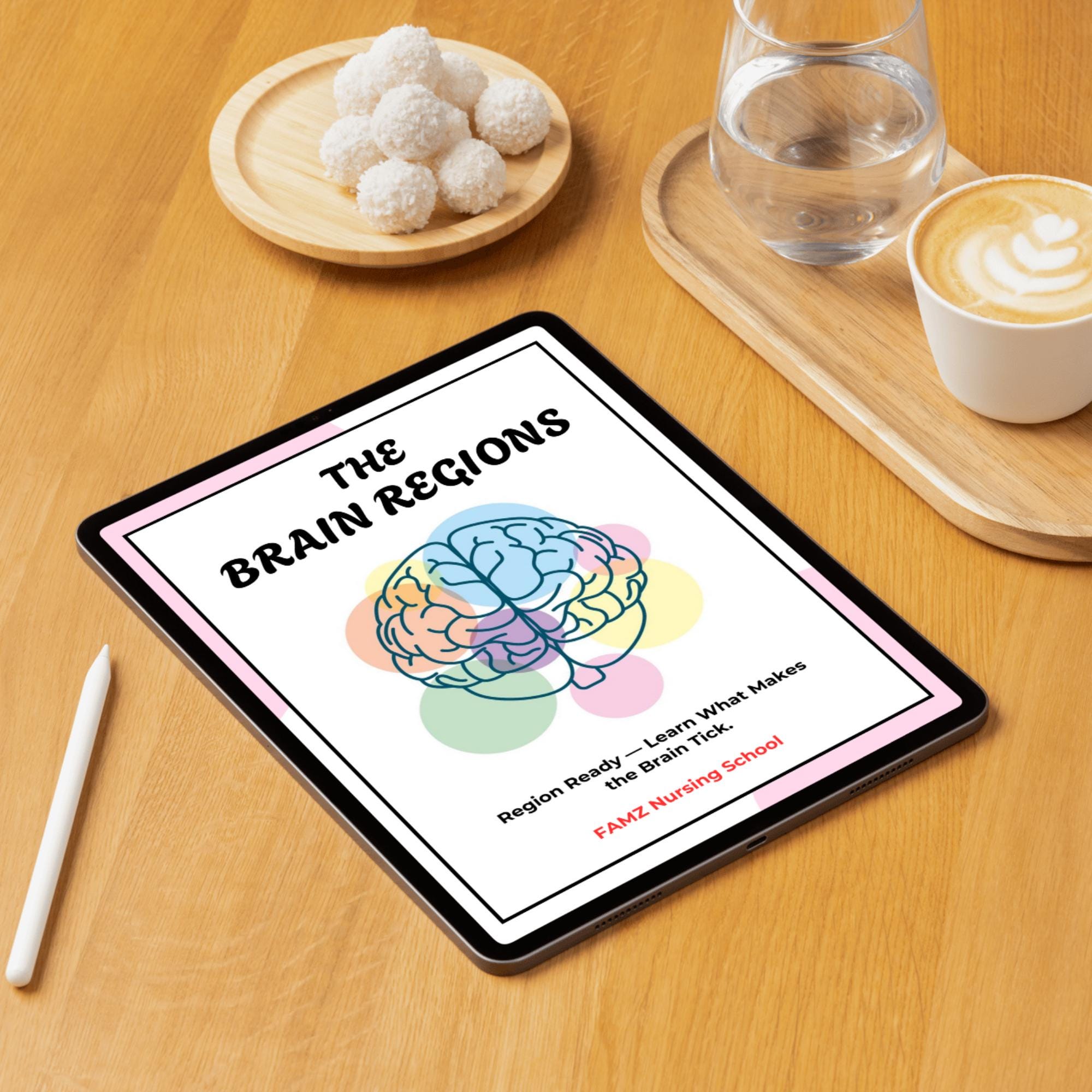 The Brain Regions Cheat Sheet | Brain Anatomy | Human Brain | Brain ...