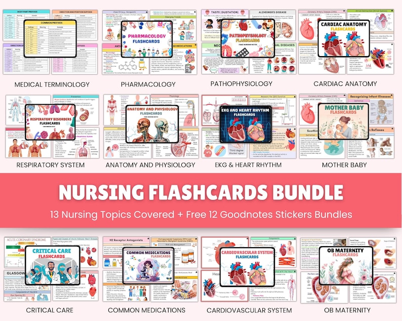 Nursing Flashcards Bundle, Anatomy, Pharmacology, Cardiovascular, OB ...