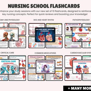 Nursing Flashcards Bundle, Anatomy, Pharmacology, Cardiovascular, OB ...