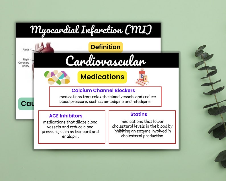 15 Cardiovascular Flashcards Printable Nursing Students Notes Anatomy ...