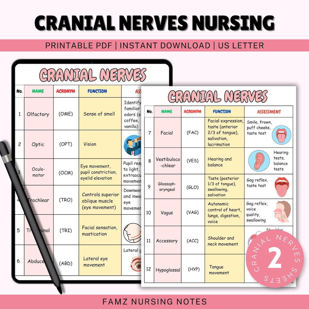 Cranial Nerves Nursing | Cheat Sheet for Nursing Students | Nursing ...