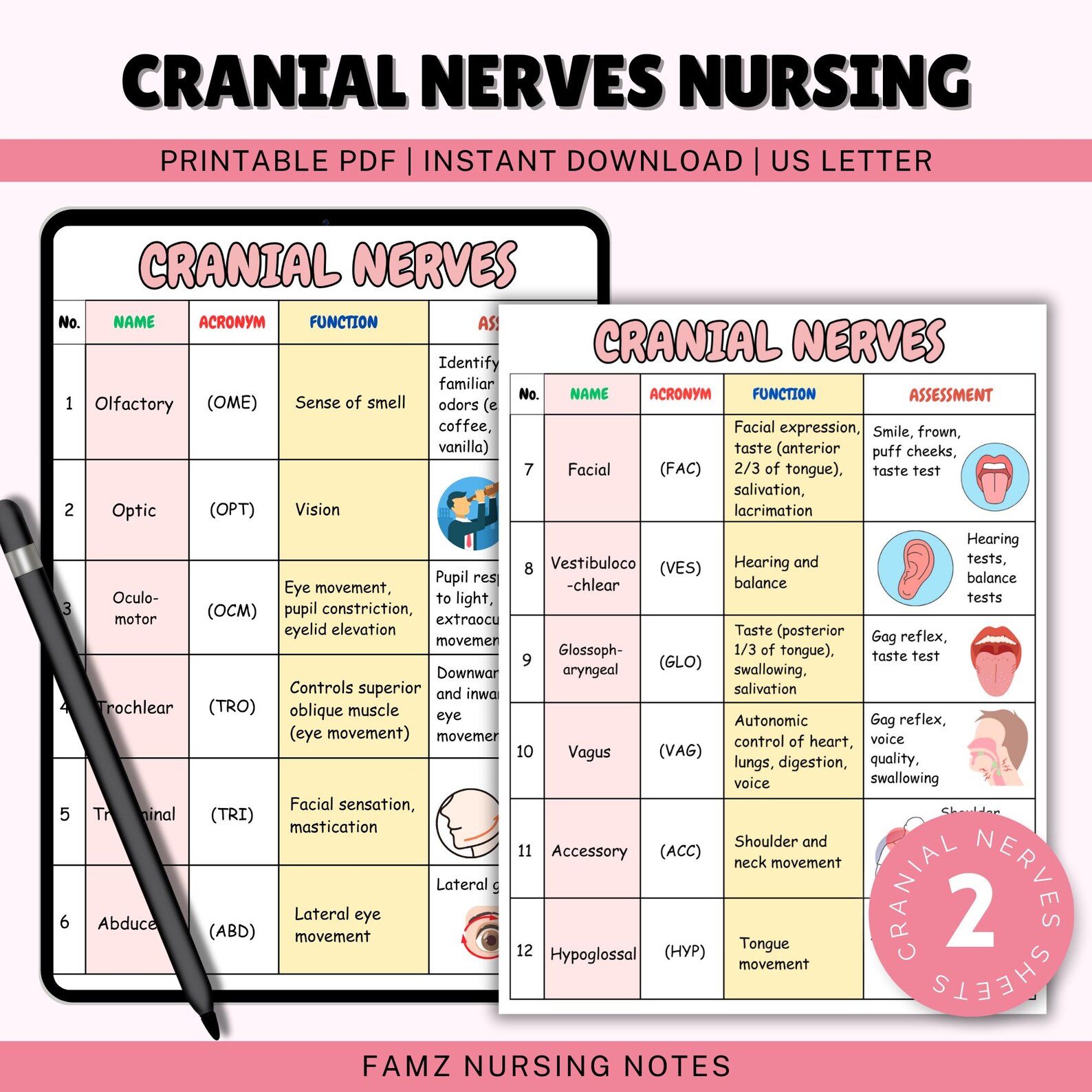 Cranial Nerves Nursing | Cheat Sheet for Nursing Students | Nursing ...