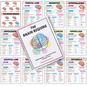 The Brain Regions Cheat Sheet | Brain Anatomy | Human Brain | Brain ...
