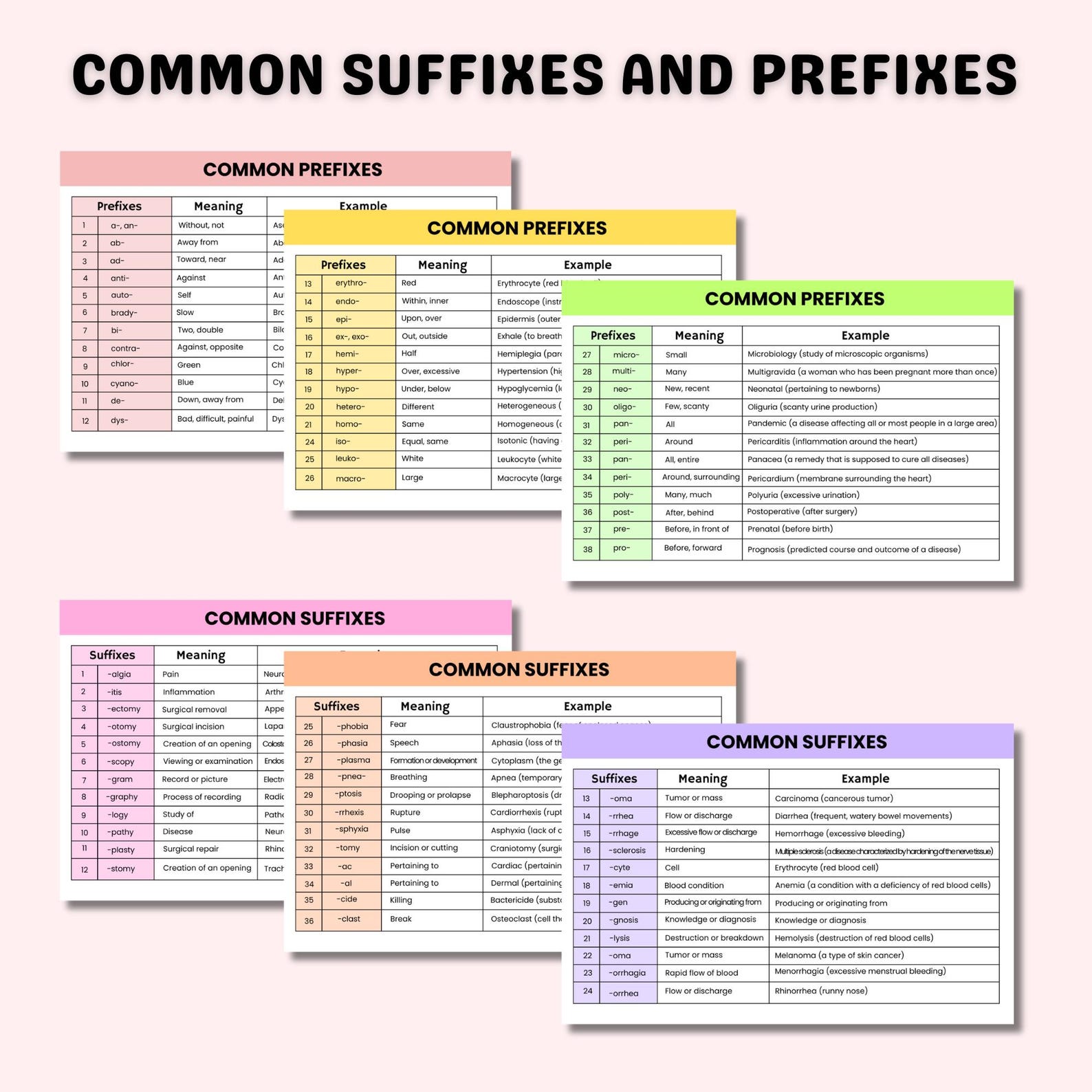 Medical Terminology Flashcards | Medical Terminology Prefixes and ...