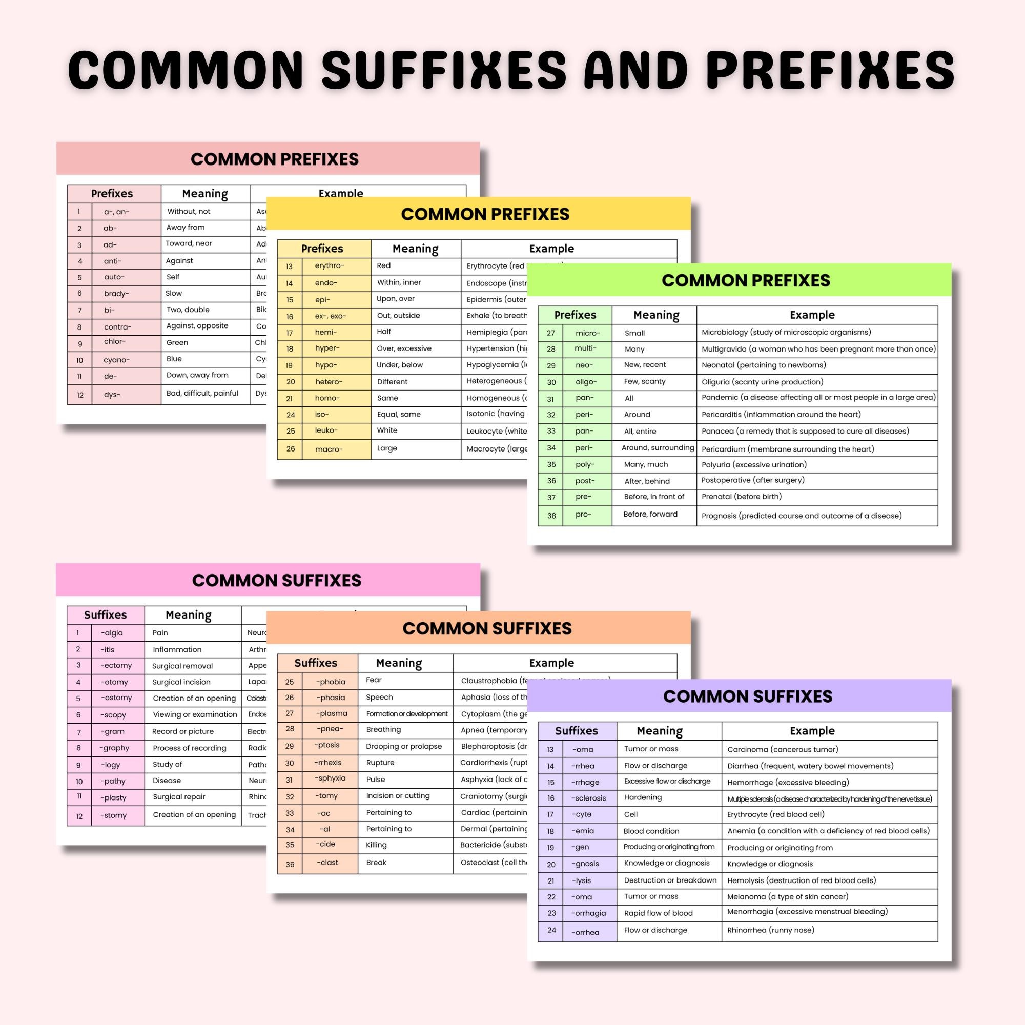Medical Terminology Flashcards | Medical Terminology Prefixes and ...