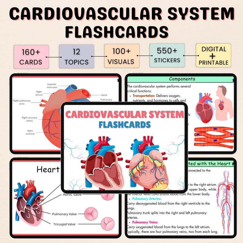 160+ Cardiovascular System Flashcards | Cardiac Nursing | Nursing Notes ...
