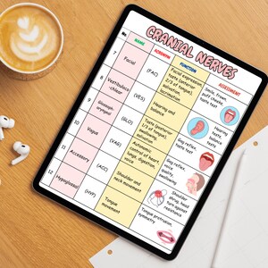 Cranial Nerves Nursing | Cheat Sheet for Nursing Students | Nursing ...