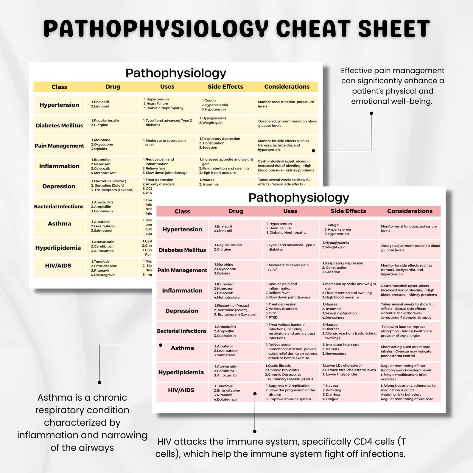 Complete Pathophysiology Study Guide | Nursing Notes | 2025 Edition - Etsy