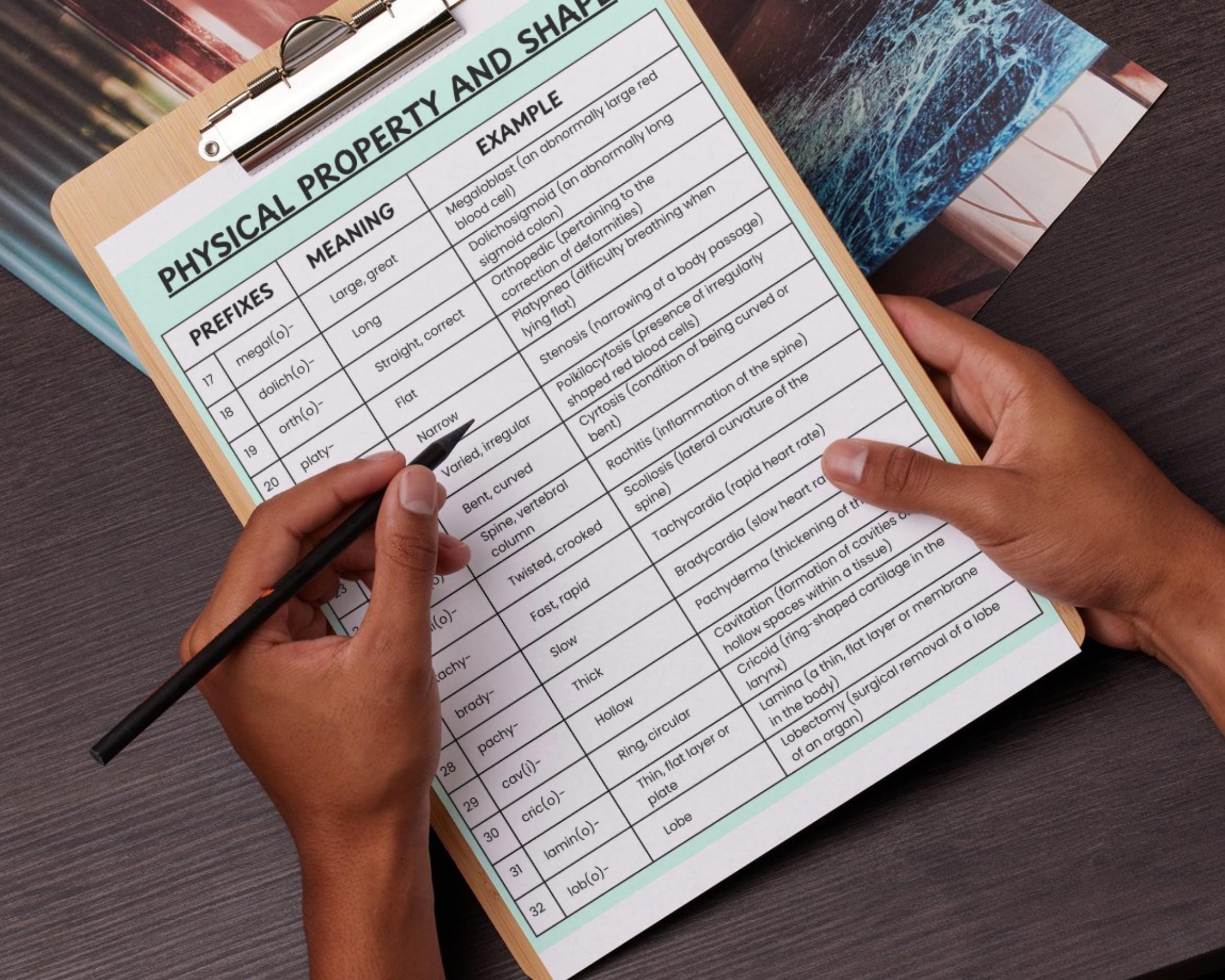 Complete Medical Terminology Prefixes and Suffixes Bundle | Medical ...