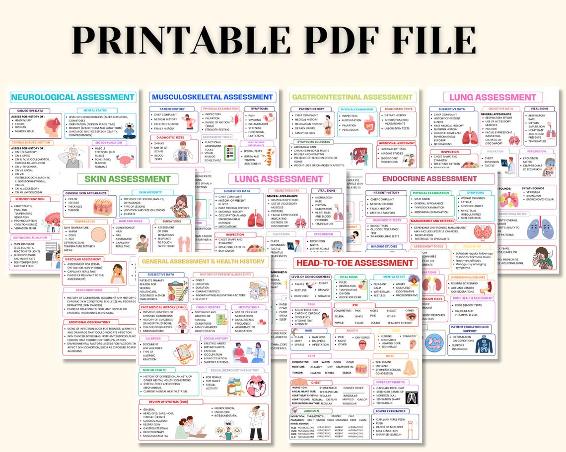 Health Assessment Nursing Bundle | Nurse Assessment | Nursing Notes ...