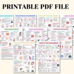 Health Assessment Nursing Bundle | Nurse Assessment | Nursing Notes ...