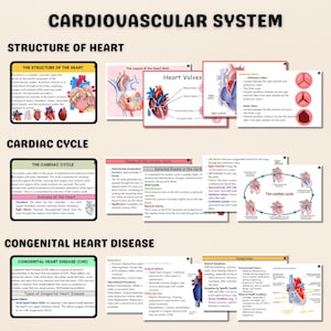 160+ Cardiovascular System Flashcards | Cardiac Nursing | Nursing Notes ...