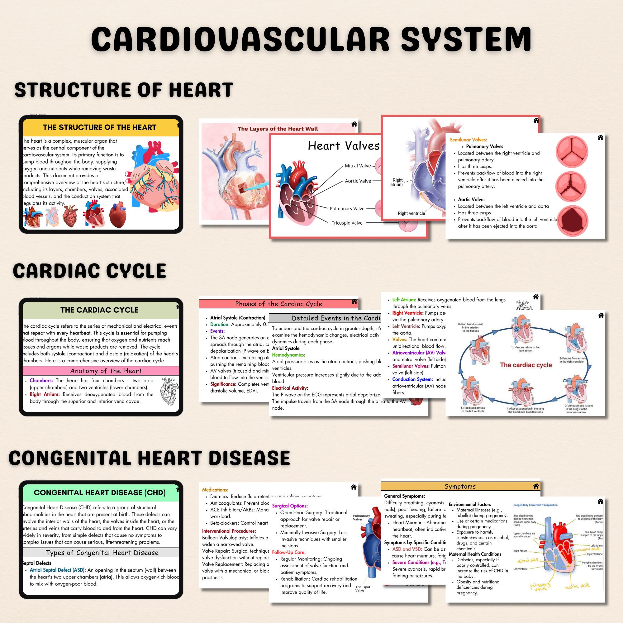 160+ Cardiovascular System Flashcards | Cardiac Nursing | Nursing Notes ...
