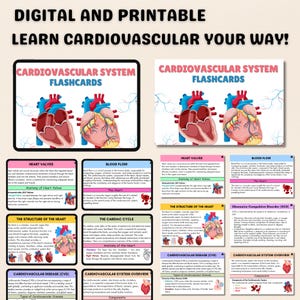160+ Cardiovascular System Flashcards | Cardiac Nursing | Nursing Notes ...