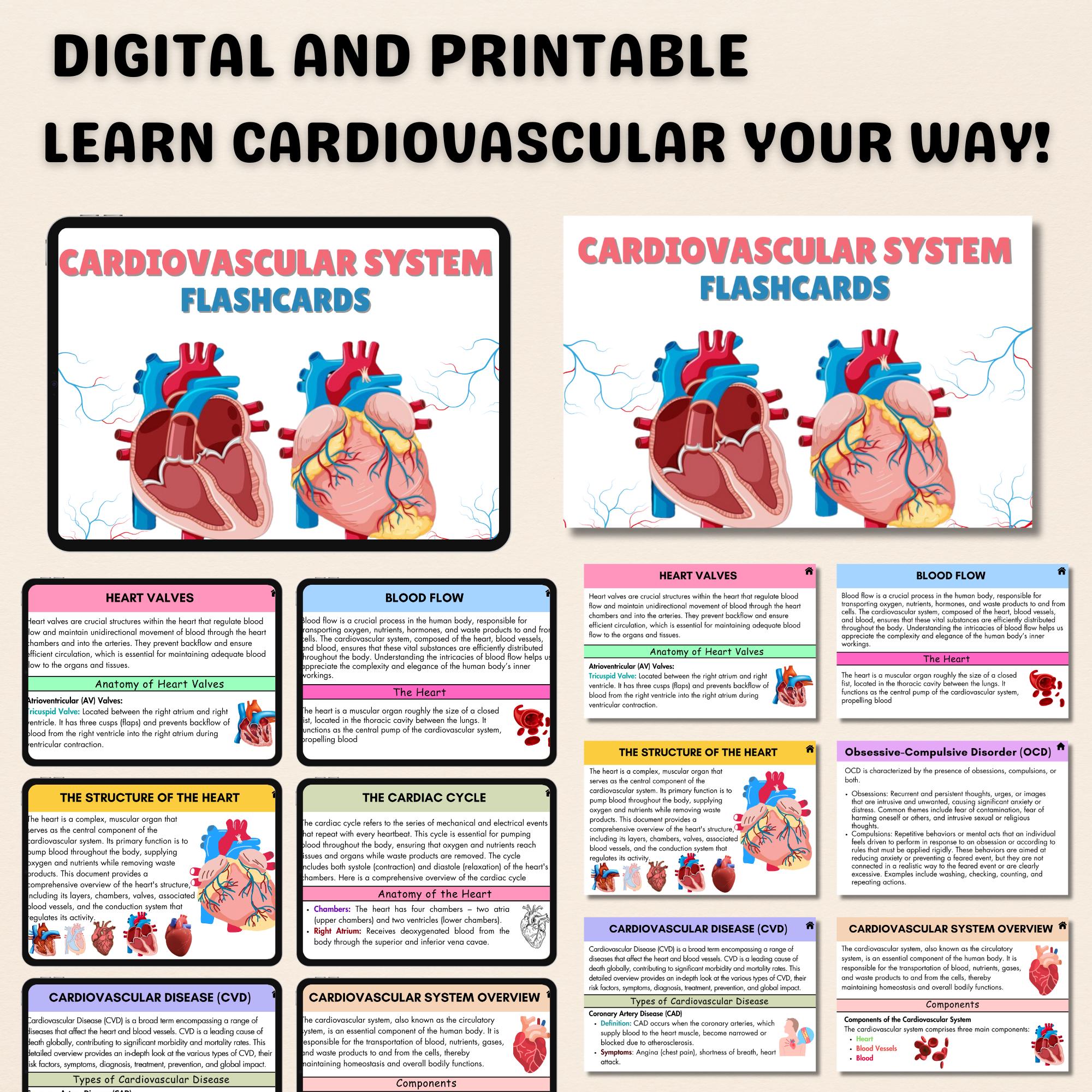 160+ Cardiovascular System Flashcards | Cardiac Nursing | Nursing Notes ...