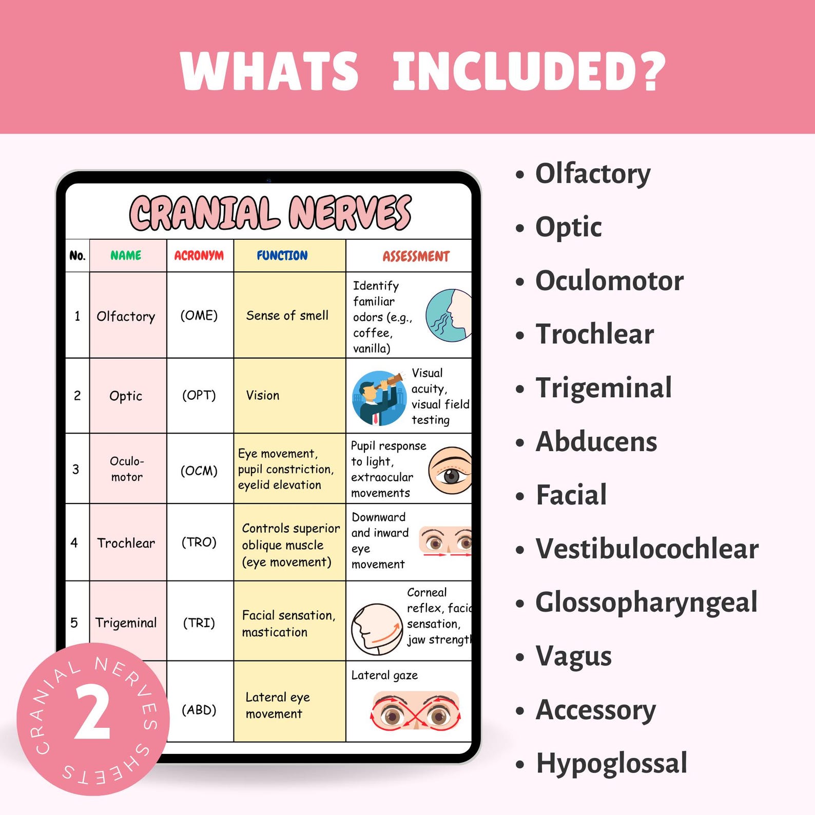Cranial Nerves Nursing | Cheat Sheet for Nursing Students | Nursing ...