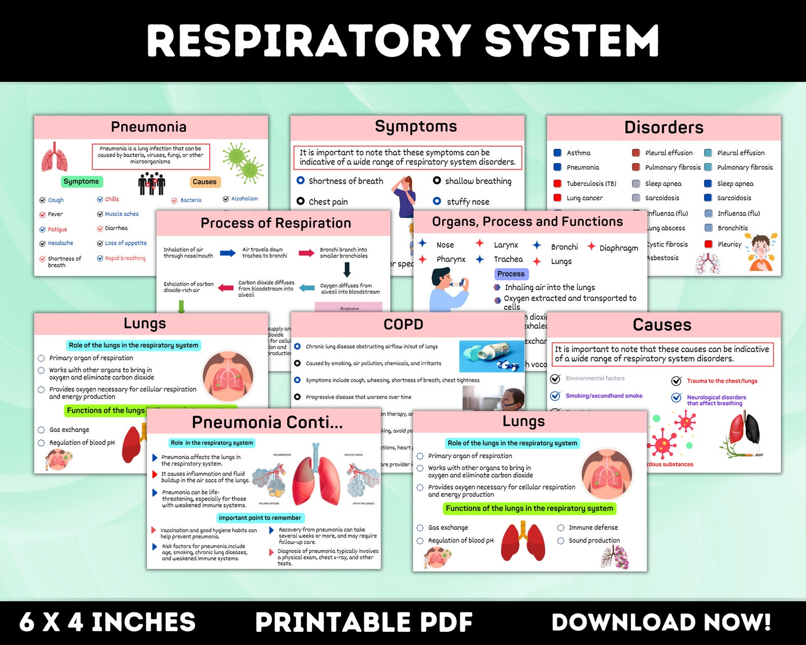15 Respiratory System Flashcards Printable Respiratory Therapy ...