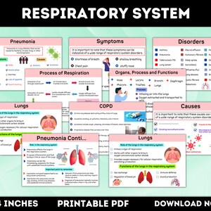 15 Respiratory System Flashcards Printable | Respiratory Therapy ...