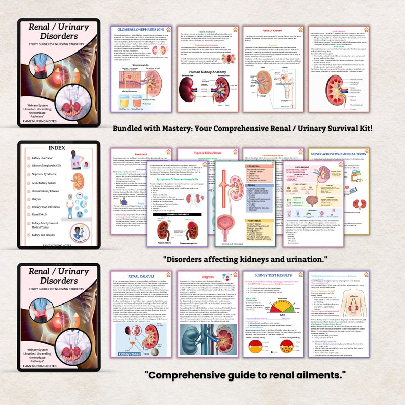 Renal & Urinary Disorders Notes | Urinalysis | Urinary System Notes ...