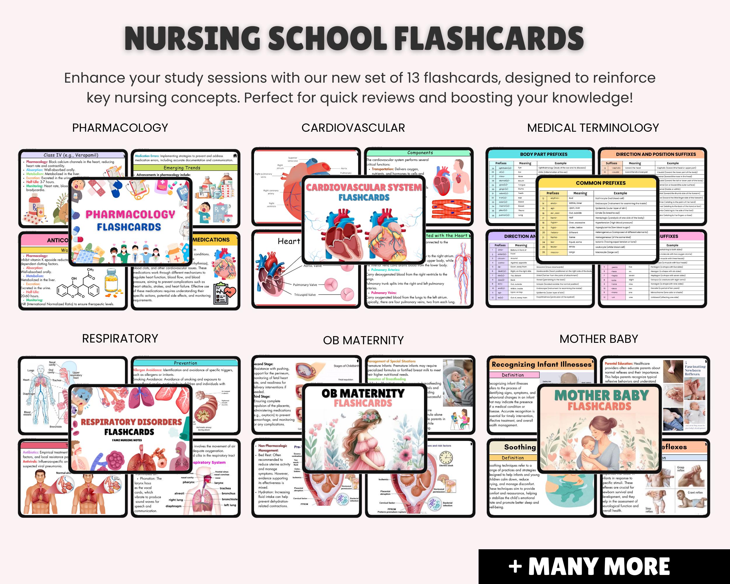 Nursing Flashcards Bundle, Anatomy, Pharmacology, Cardiovascular, OB ...