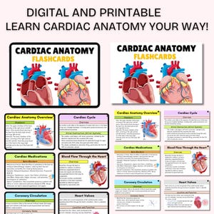 Cardiac Anatomy Flashcards | Nursing Notes | Digital + Printable - Etsy