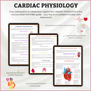Heart Rhythm & EKG Study Guide, EKG Interpretation, Dysrhythmias ...