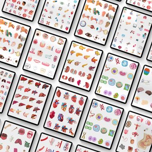 900+ Anatomy & Biology Stickers | Anatomy Stickers | Goodnotes Stickers ...