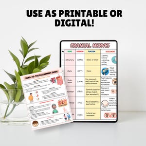 Cranial Nerves Nursing | Cheat Sheet for Nursing Students | Nursing ...