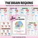 The Brain Regions Cheat Sheet | Brain Anatomy | Human Brain | Brain ...