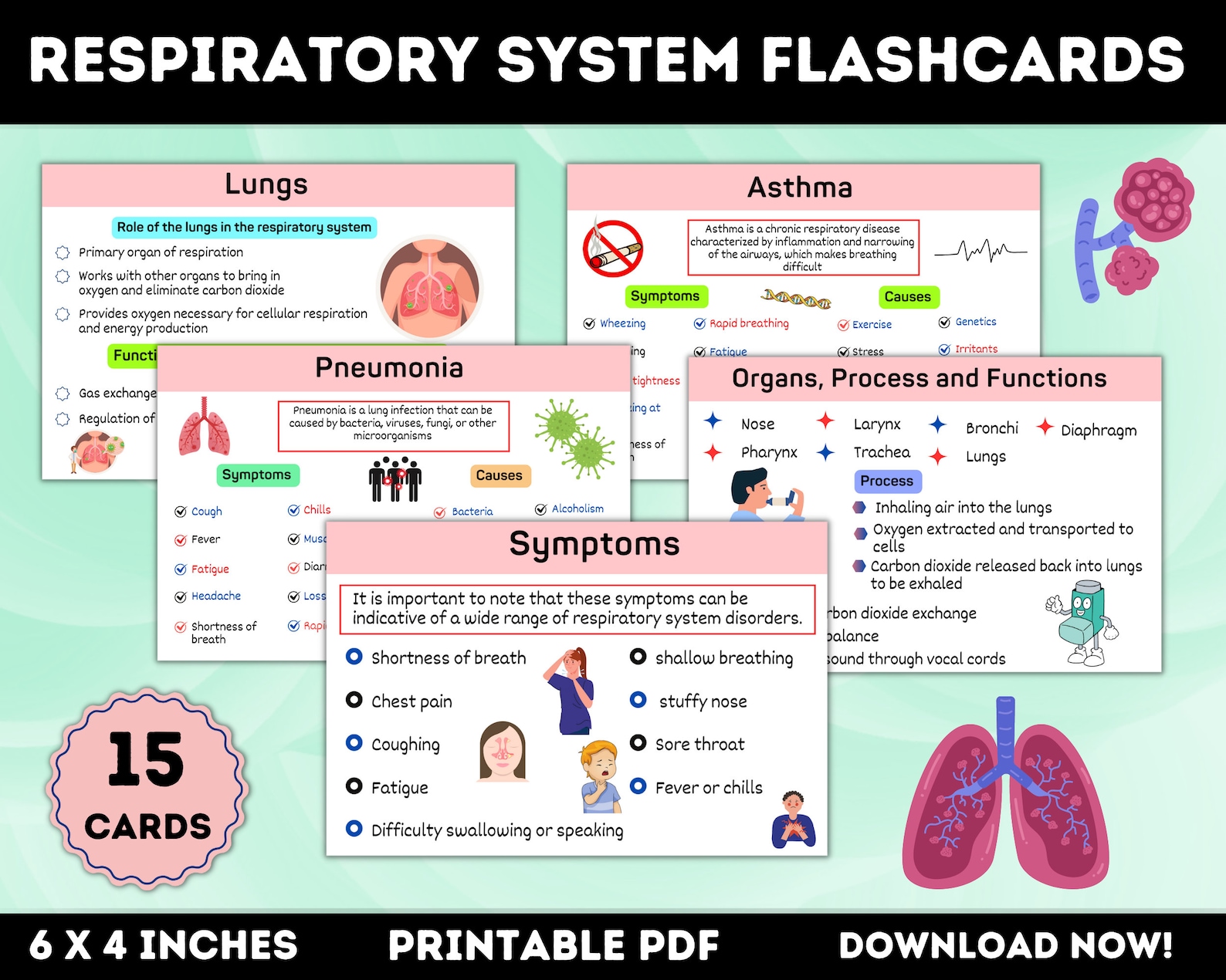 15 Respiratory System Flashcards Printable Respiratory Therapy ...