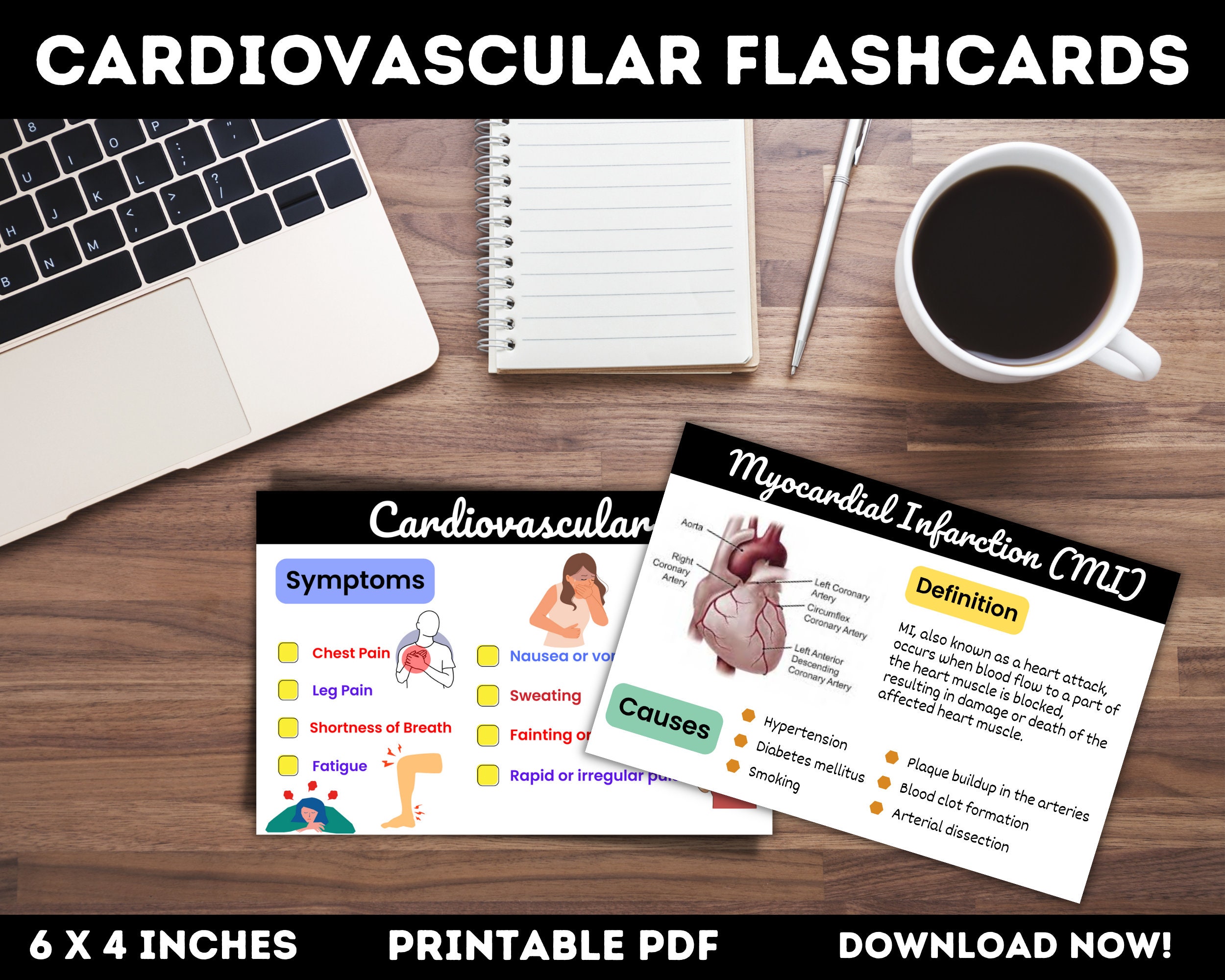 15 Cardiovascular Flashcards Printable Nursing Students Notes Anatomy ...