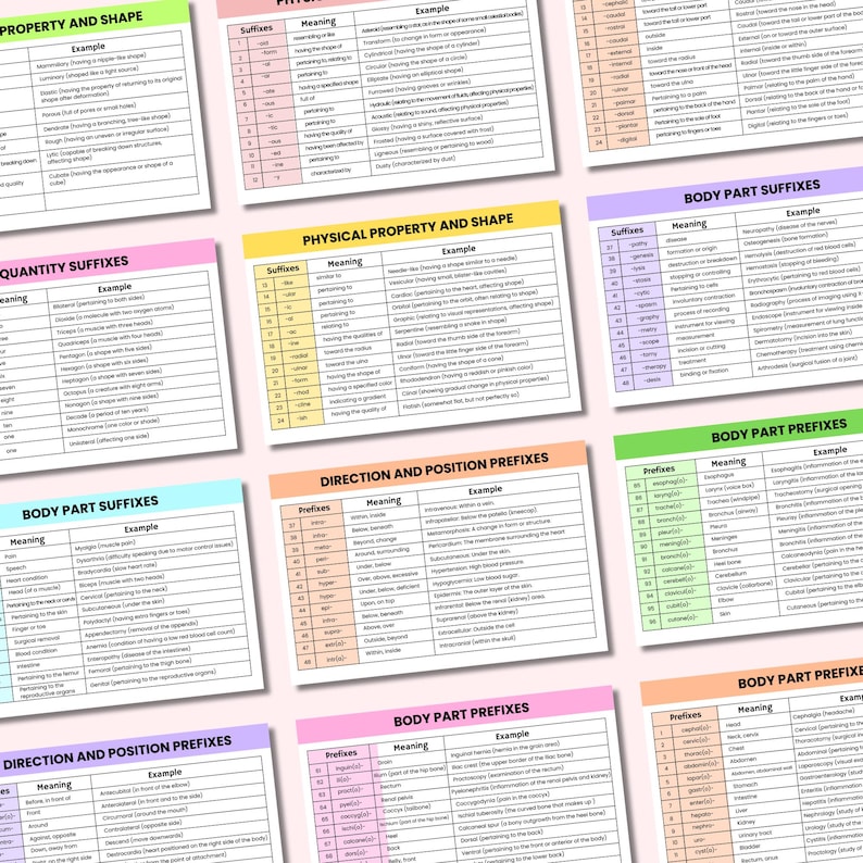 Medical Terminology Flashcards | Medical Terminology Prefixes and ...
