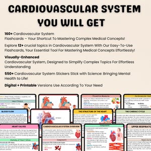 160+ Cardiovascular System Flashcards | Cardiac Nursing | Nursing Notes ...