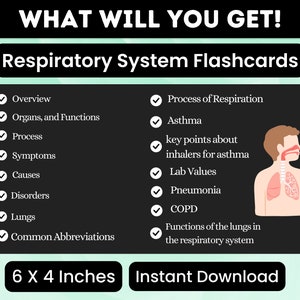 15 Respiratory System Flashcards Printable | Respiratory Therapy ...