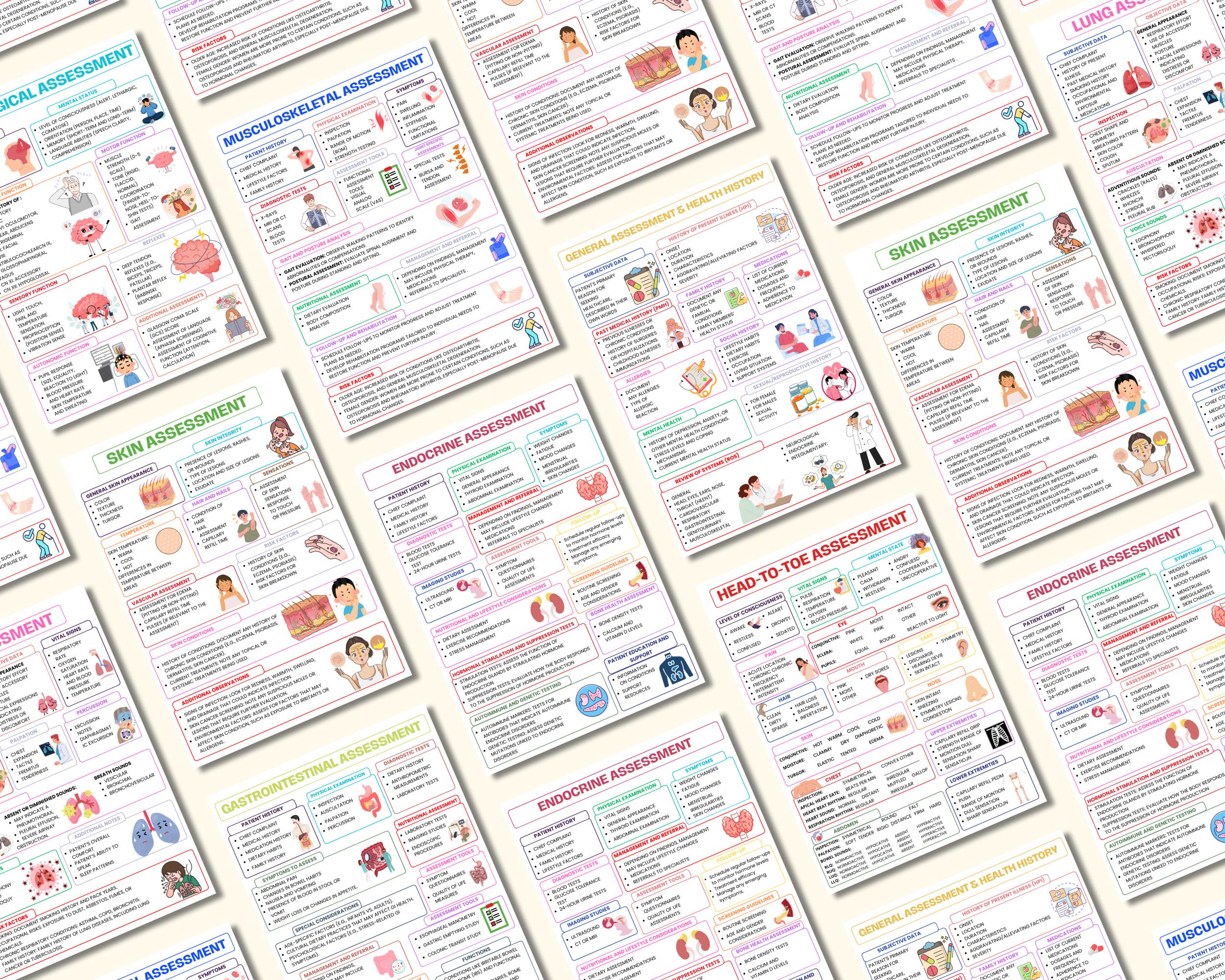 Health Assessment Nursing Bundle | Nurse Assessment | Nursing Notes ...