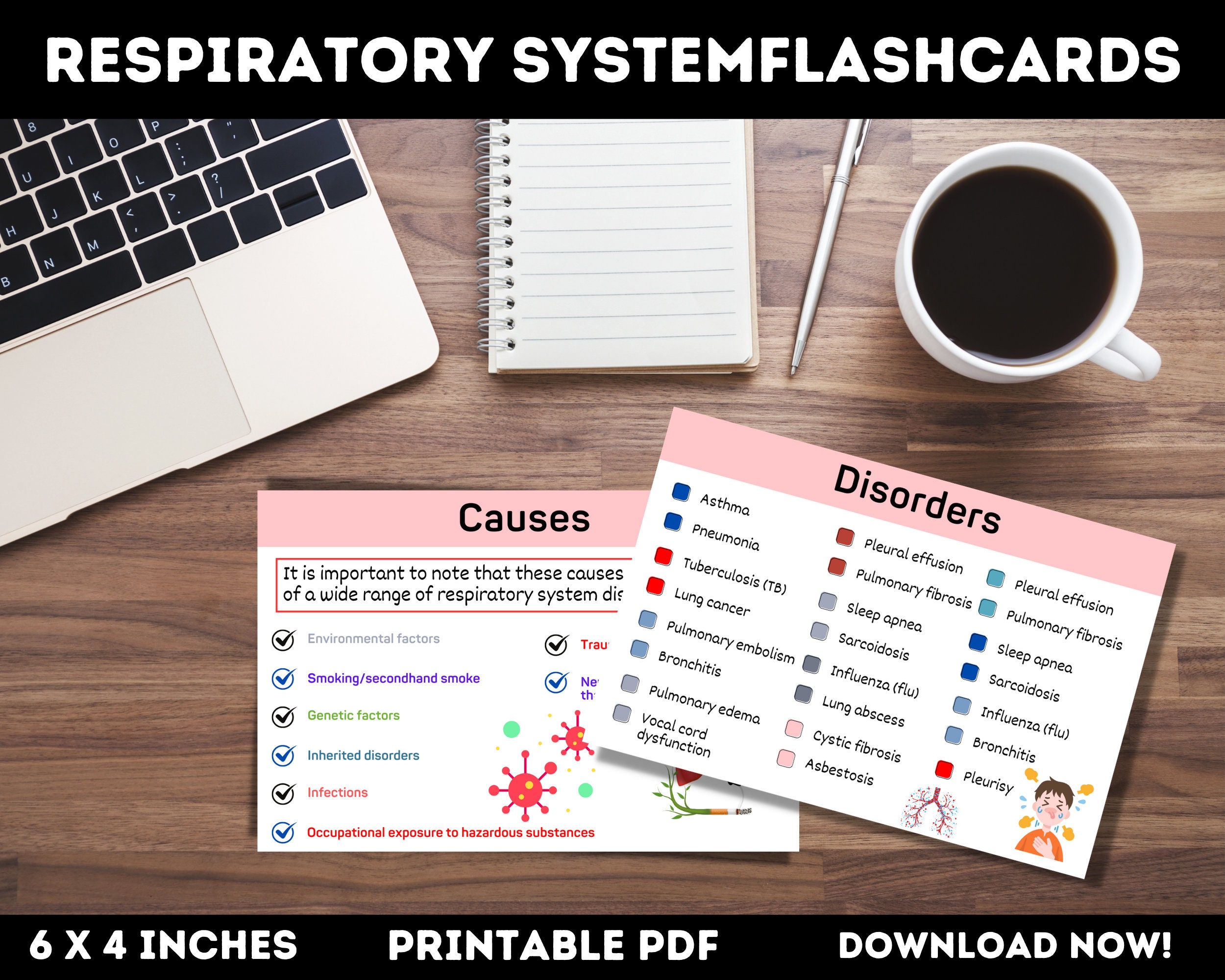 15 Respiratory System Flashcards Printable | Respiratory Therapy ...