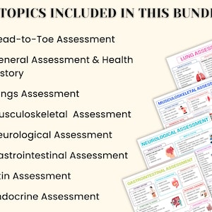 Health Assessment Nursing Bundle | Nurse Assessment | Nursing Notes ...