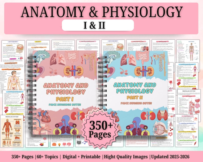 Anatomy and Physiology I & II Mega Bundle | Human Anatomy | Nursing ...