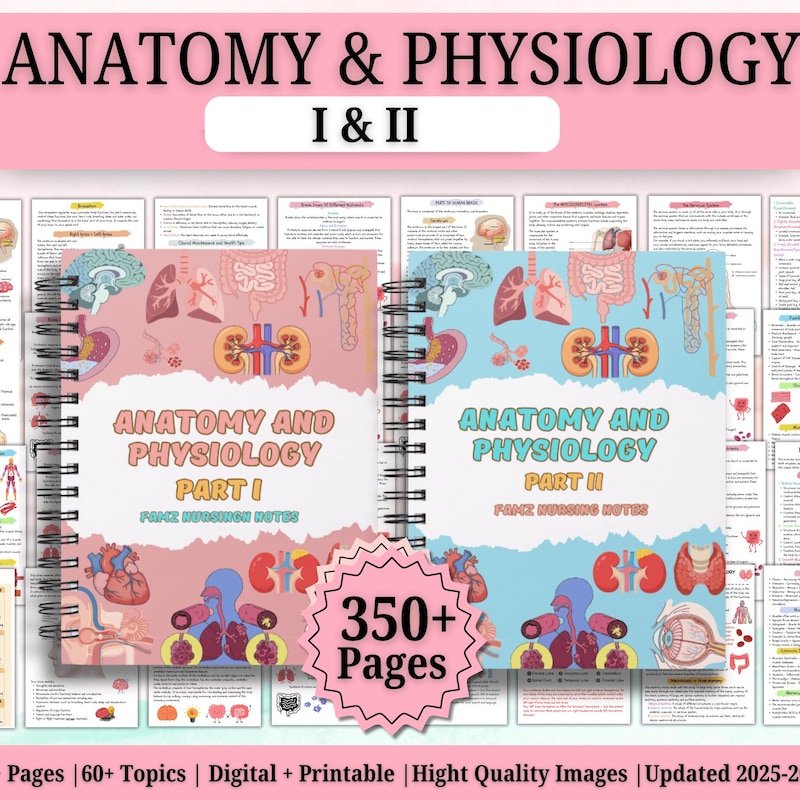 Human Anatomy With Lab - Etsy