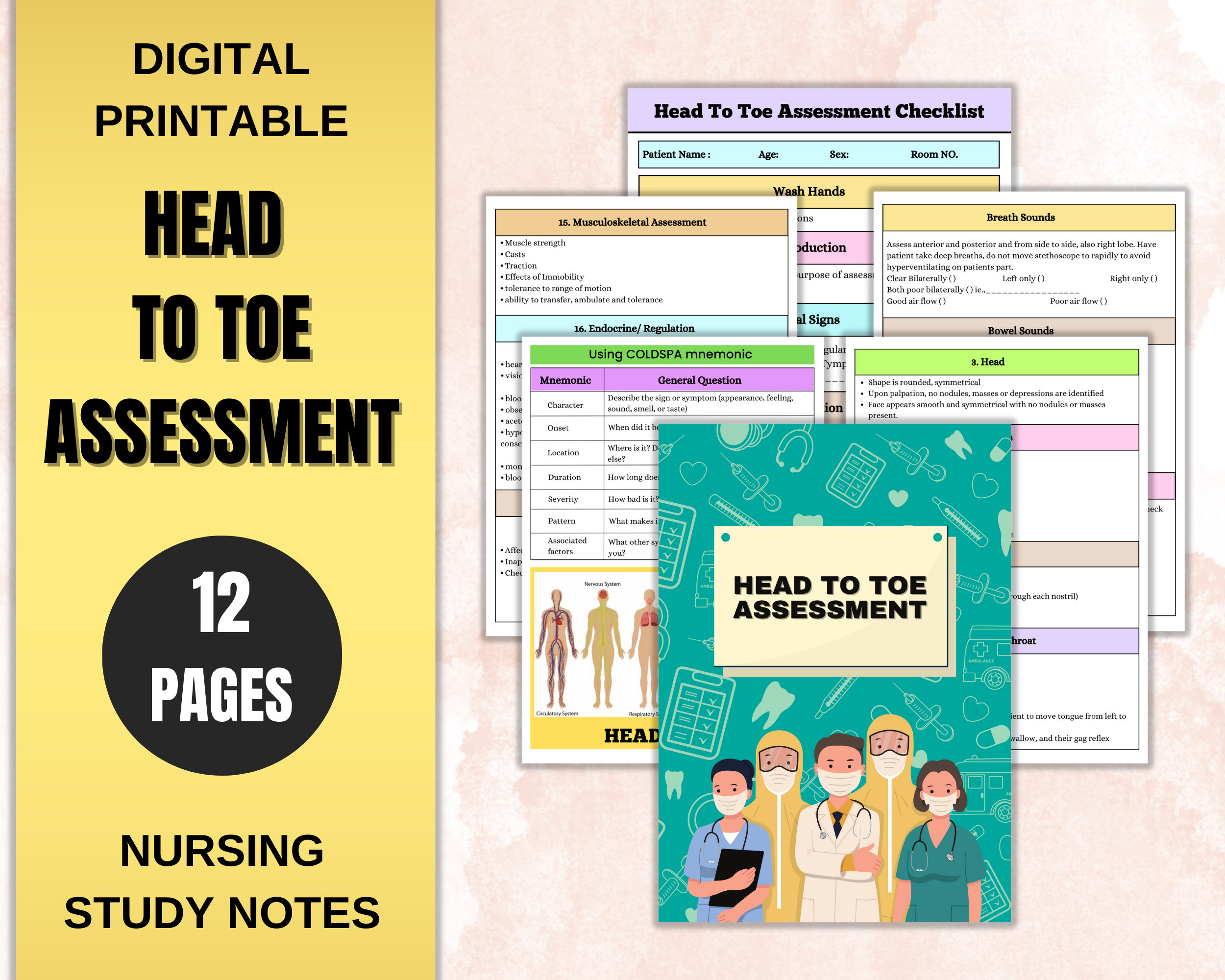 Head-to-toe-assessment Template Nursing Study Guide - Etsy
