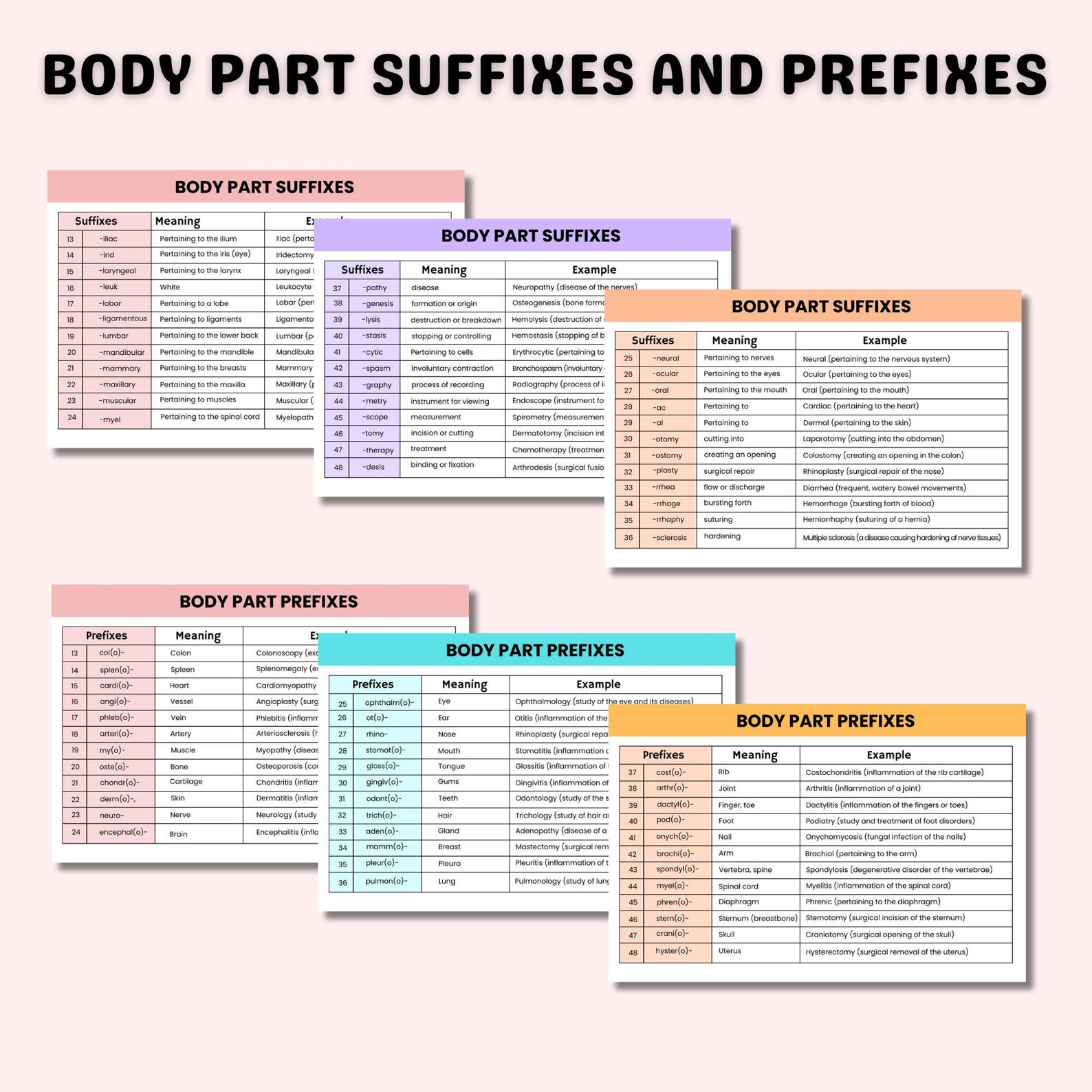 Medical Terminology Flashcards | Medical Terminology Prefixes and ...