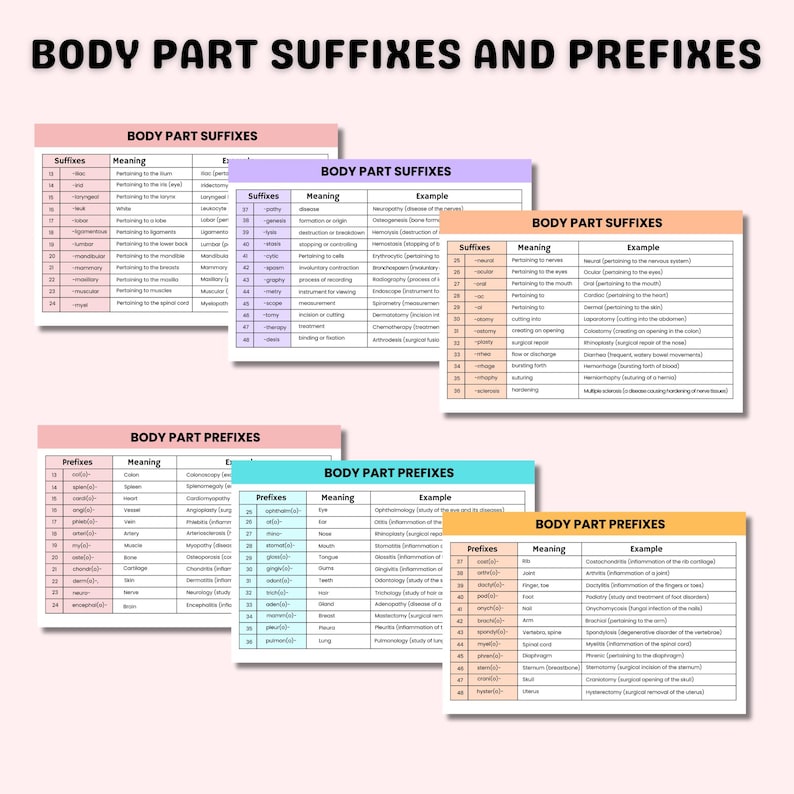 Medical Terminology Flashcards | Medical Terminology Prefixes and ...