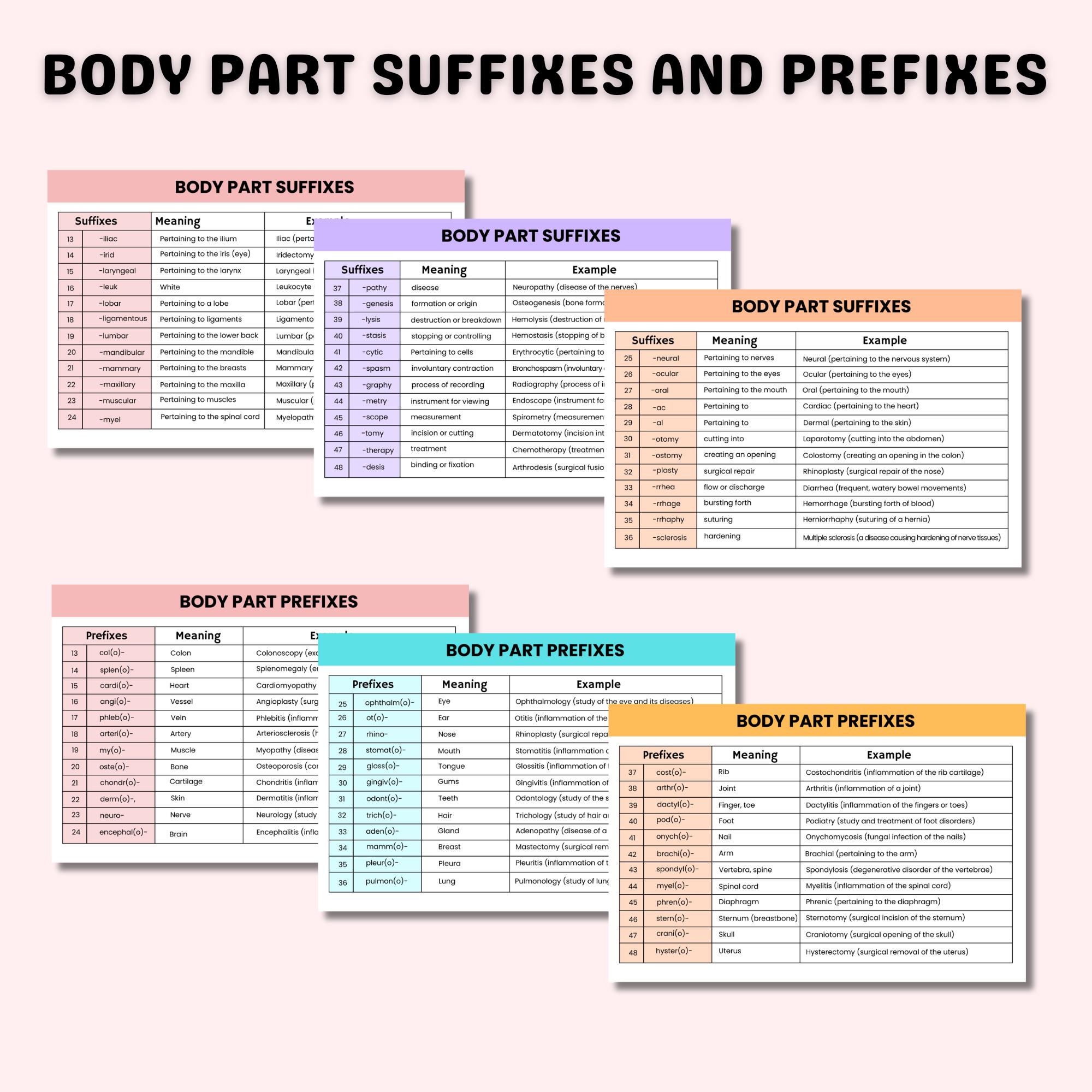 Medical Terminology Flashcards | Medical Terminology Prefixes and ...