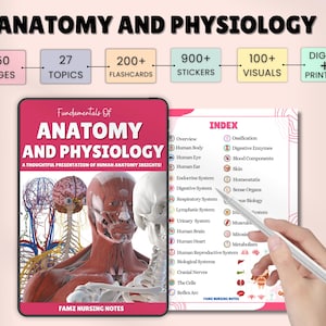 Ultimate Nursing Notes Bundle, Nursing Bundle, Anatomy and Physiology ...