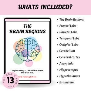 The Brain Regions Cheat Sheet | Brain Anatomy | Human Brain | Brain ...