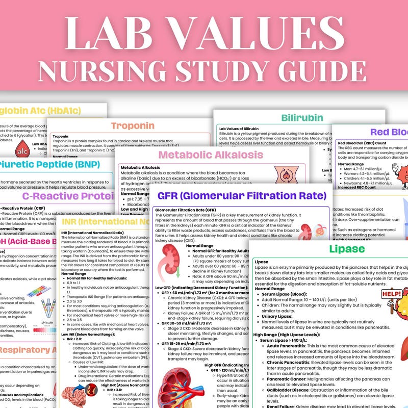 Nurse Note Lab - Etsy