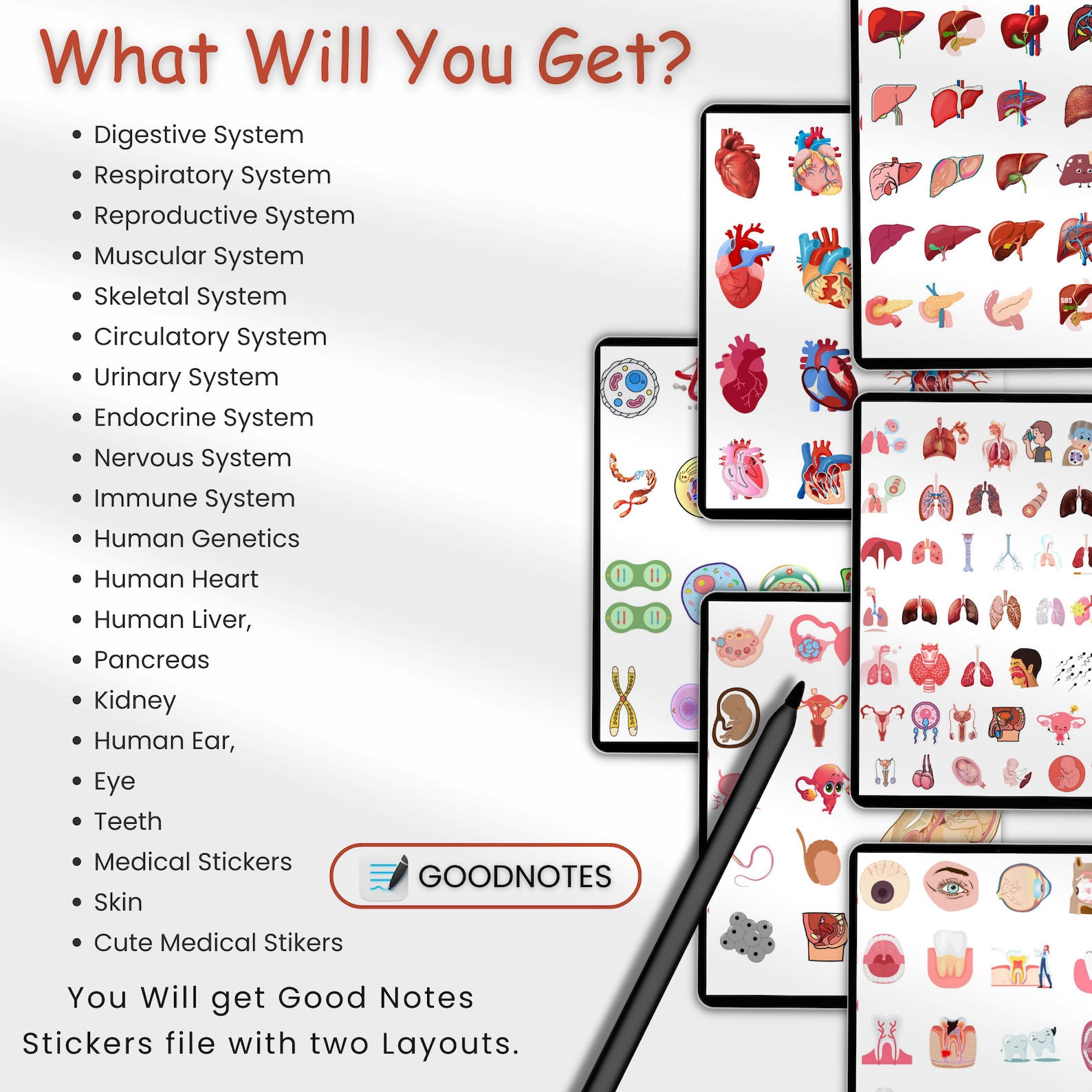 900+ Anatomy & Biology Stickers | Anatomy Stickers | Goodnotes Stickers ...